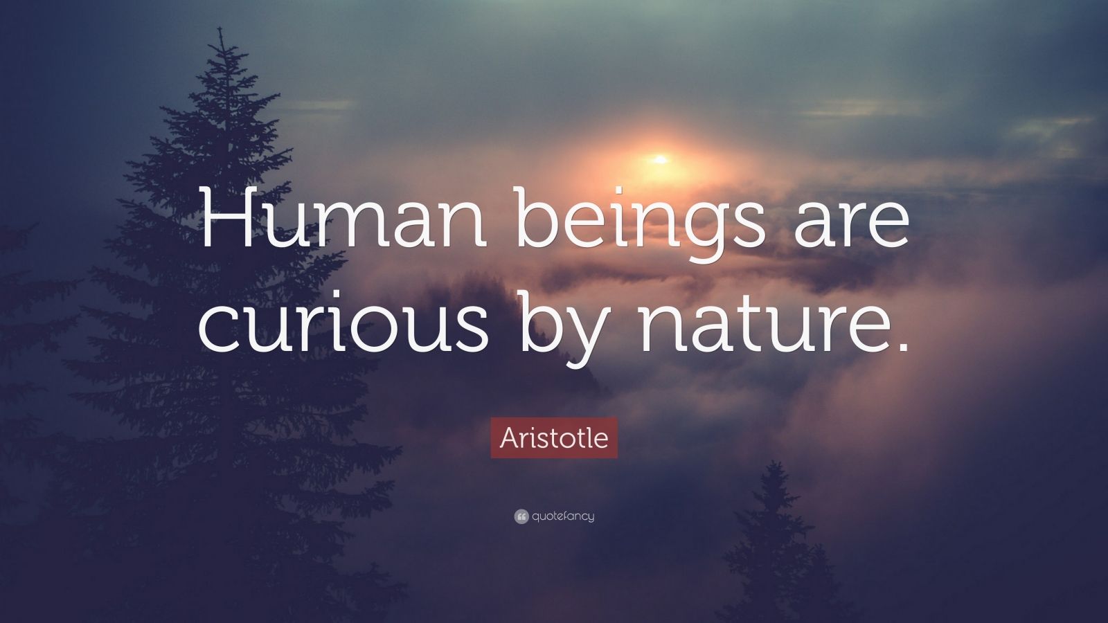 The Insatiable Nature of Man | Henry Ukazu